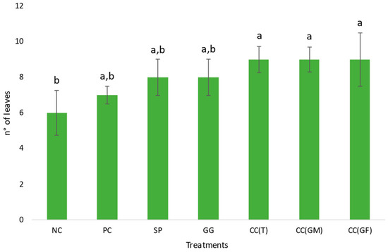 Seaweed Polysaccharides as Potential Biostimulants in Turnip Greens ...