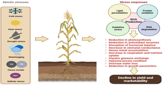 Horticulturae | Free Full-Text | Recent Advancements in Mitigating Abiotic Stresses in Crops