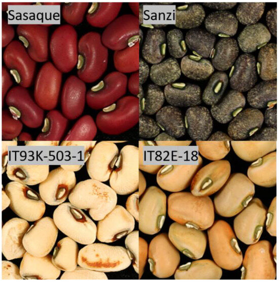 Identification of Candidate Genes Controlling Red Seed Coat Color in ...