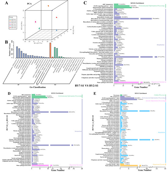 Horticulturae | Free Full-Text | Comparative Metabolomic and ...