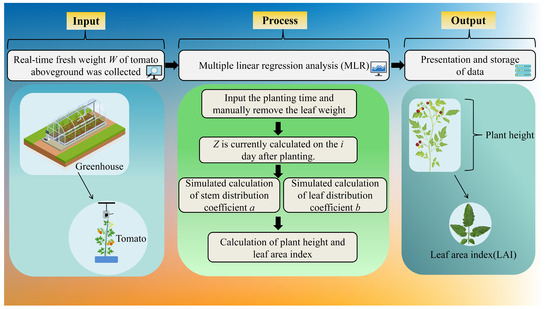 Simulation Model Construction of Plant Height and Leaf Area Index Based ...