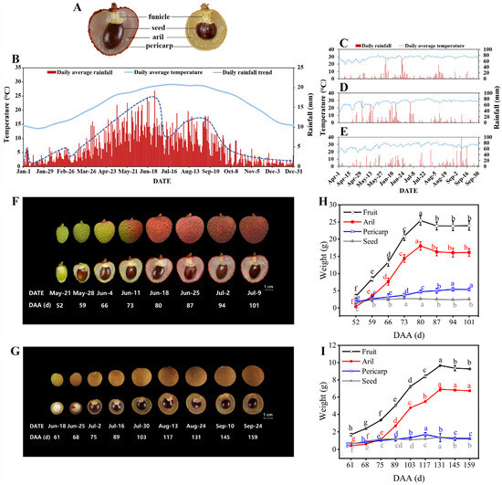 Sugar Receding in Aril Benefits the Recalcitrant Seeds of Litchi ...