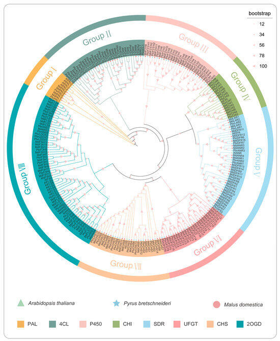 Genome-Wide Identification and Expression Analysis of Fifteen Gene ...