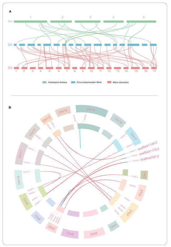 Genome-Wide Identification and Expression Analysis of Fifteen Gene ...