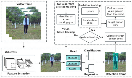 Human-Following Strategy for Orchard Mobile Robot Based on the KCF-YOLO Algorithm