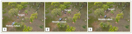 Human-Following Strategy for Orchard Mobile Robot Based on the KCF-YOLO Algorithm