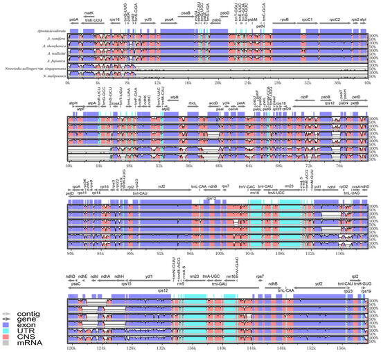 Characteristics and Comparative Analysis of the Complete Plastomes of ...