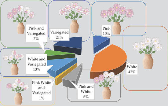 Variations in Flower Color of Mutant Chrysanthemums