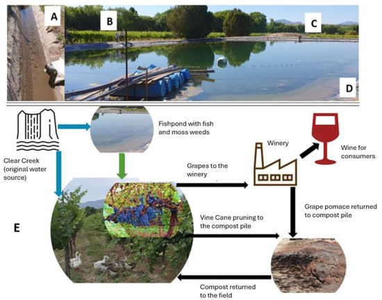 Fishpond Water Potential on Vineyard Soil Health: An Exploratory Study ...