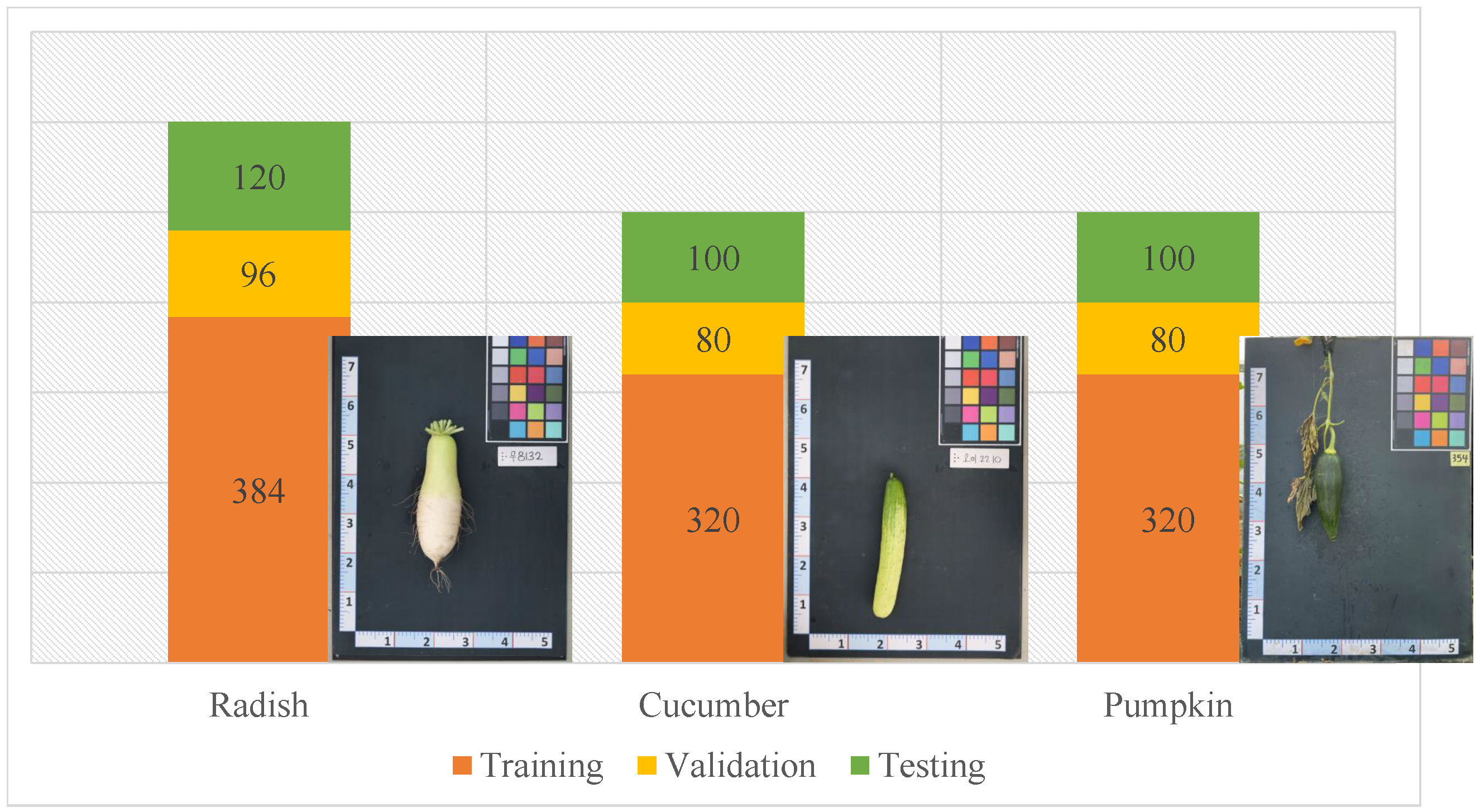 Adapting the Segment Anything Model for Plant Recognition and Automated Phenotypic Parameter ...