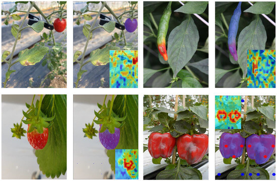 Adapting the Segment Anything Model for Plant Recognition and Automated Phenotypic Parameter ...