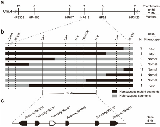 Horticulturae | Free Full-Text | Fine Mapping and Candidate Gene Validation of Tomato Gene ...
