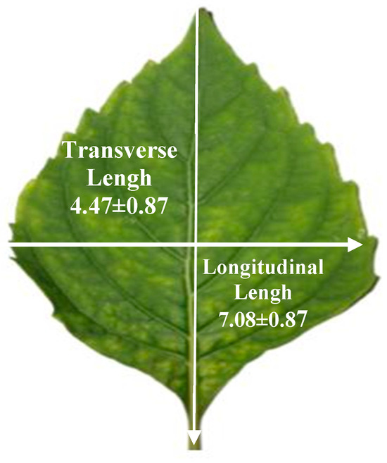 Application of the Cryo-Drying Technique in Maintaining Bioactive and ...