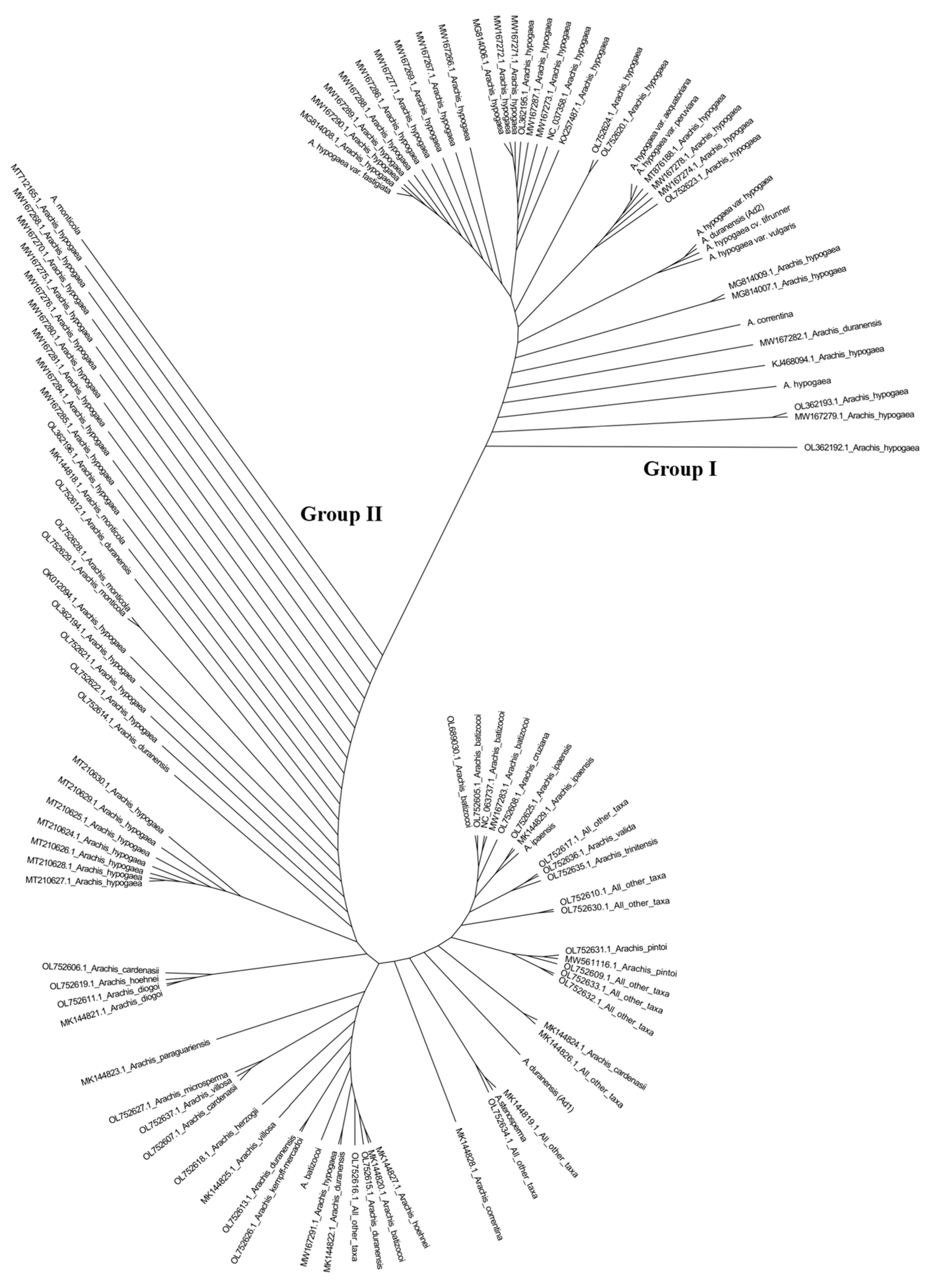 Characterization and Phylogenetic Analyses of the Complete Chloroplast Genome Sequence in ...