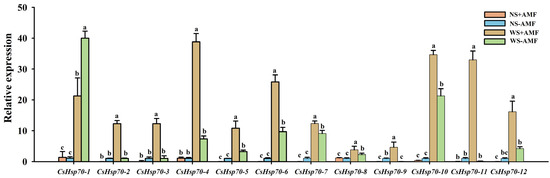 Horticulturae | Free Full-Text | Improved Waterlogging Tolerance in ...