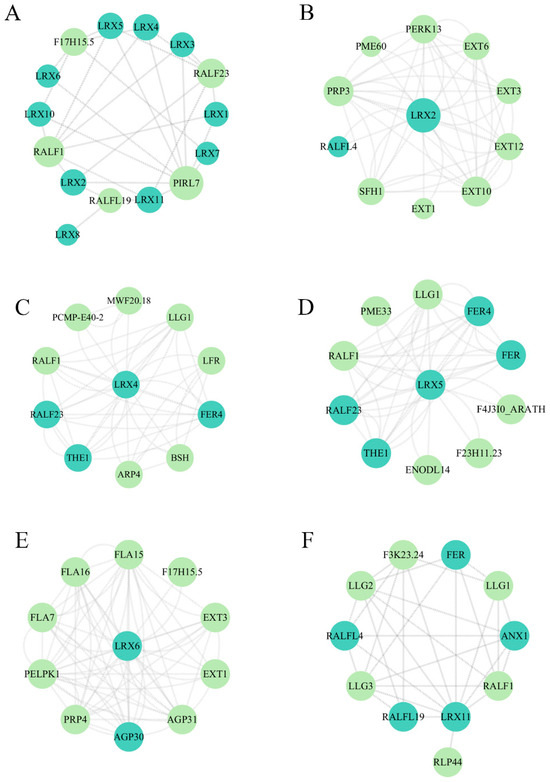 Identification, Classification, and Expression Analysis of Leucine-Rich ...