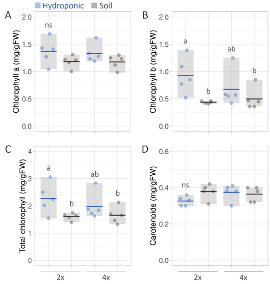 Comparative Growth and Bacoside Production in Diploid and Tetraploid Bacopa monnieri (L.) Wettst ...