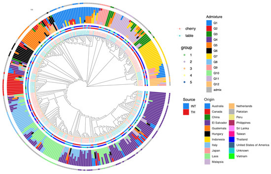 Horticulturae | Free Full-Text | Exploring the Genomic Landscape: A ...