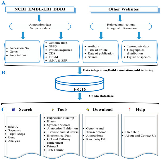 Horticulturae | Free Full-Text | Ficus Genome Database: A Comprehensive ...