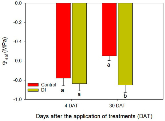 Identifying Bioactive Compounds in Common Bean (Phaseolus vulgaris L ...