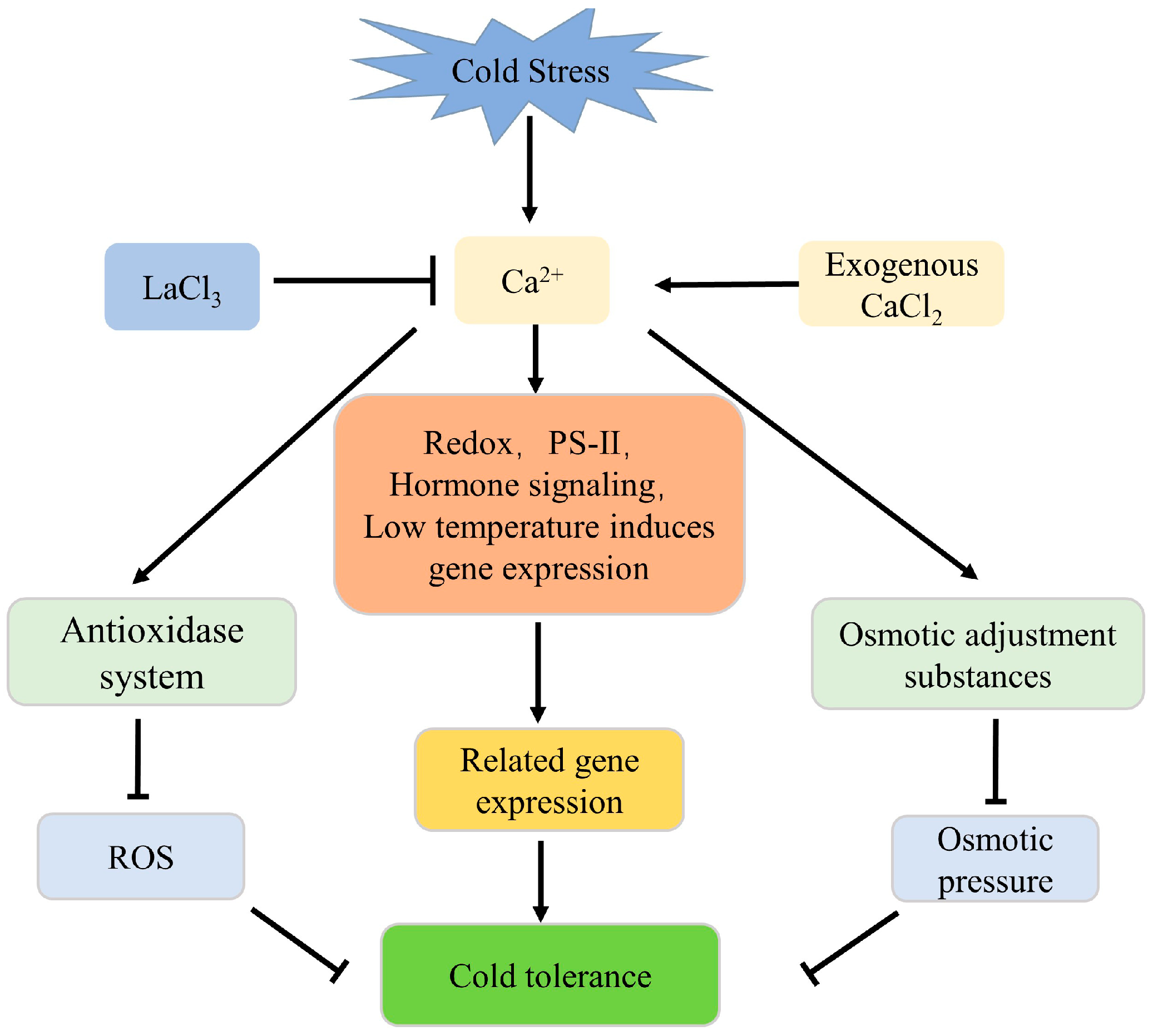 Horticulturae | Free Full-Text | Exogenous Calcium Alleviates the ... Horticulturae | Free Full-Text | Exogenous Calcium Alleviates the ...