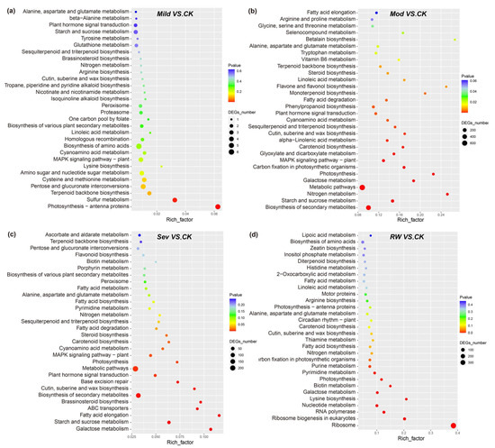 Transcriptomic and Metabolomic Analyses Provide New Insights into the Response of Strawberry ...