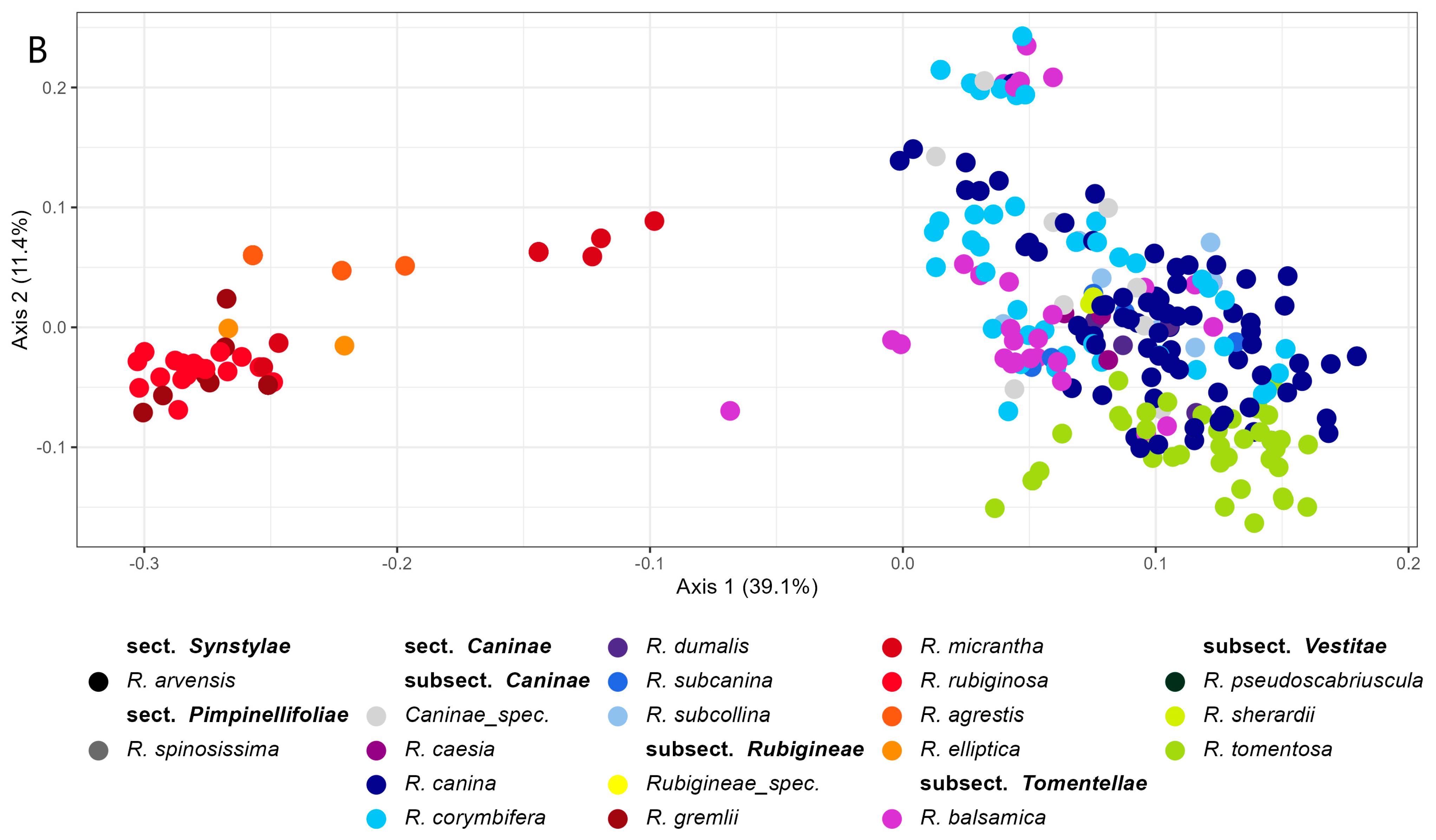 Horticulturae | Free Full-Text | Genotyping of Autochthonous Rose ...