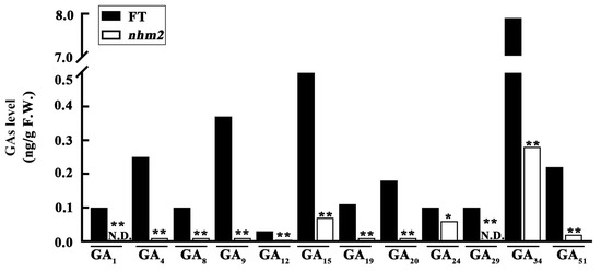 The Role of BrKS in Leafy Head Formation Was Confirmed by Two Allelic ...