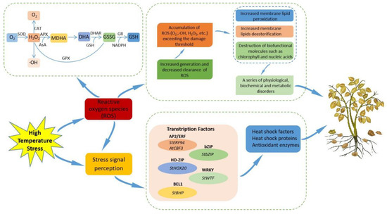 Horticulturae | Free Full-Text | Research Progress on Physiological, Biochemical, and Molecular ...
