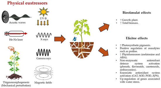 Elicitors and Biostimulants to Mitigate Water Stress in Vegetables