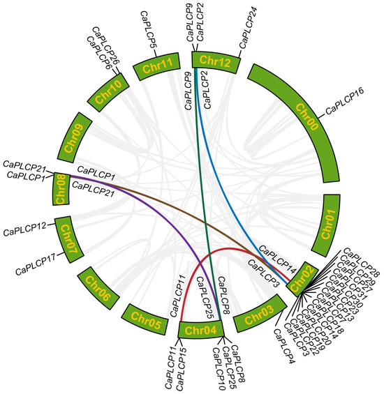 Genome-Wide Identification and Male Sterility-Related Expression ...