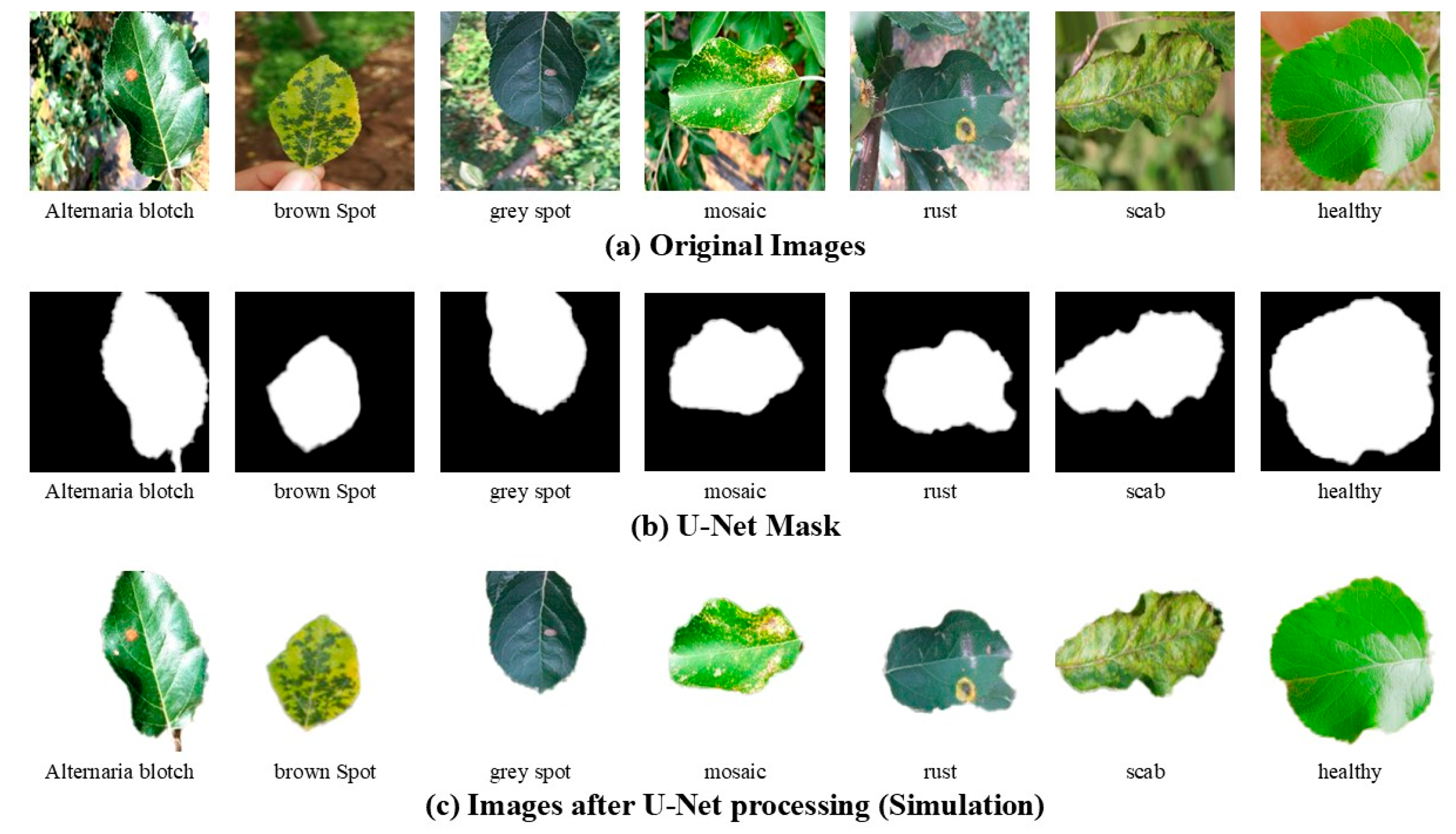 MSCR-FuResNet: A Three-Residual Network Fusion Model Based on Multi-Scale Feature Extraction and ...