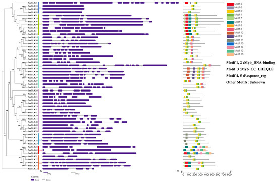 Genomic Organization and Expression Profiling of GOLDEN2-like Transcription Factor Genes in ...