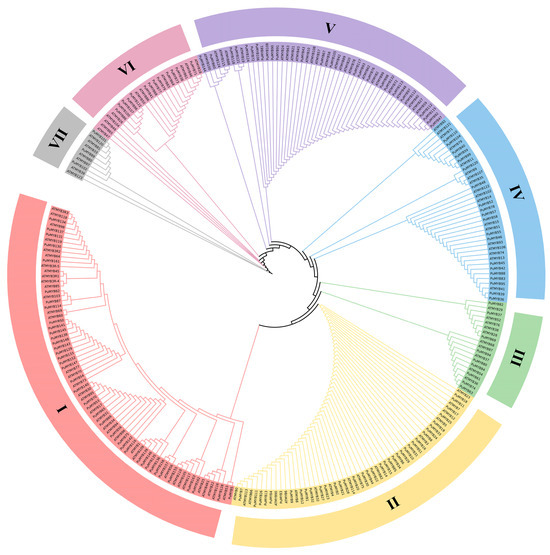 Genome-Wide Identification and Expression Analysis of ‘NanGuo’ Pear ...