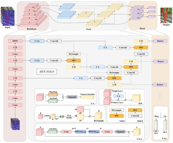 MTS-YOLO: A Multi-Task Lightweight and Efficient Model for Tomato Fruit ...
