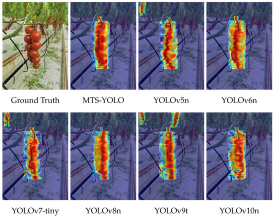 MTS-YOLO: A Multi-Task Lightweight and Efficient Model for Tomato Fruit ...