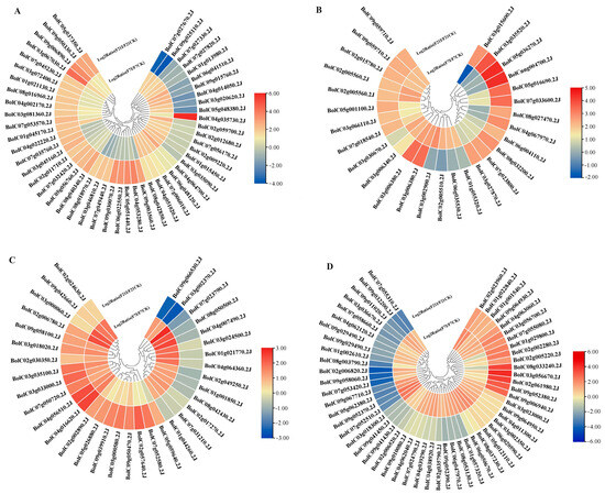 A Combined mRNA and microRNA Transcriptome Analysis of B. oleracea ...