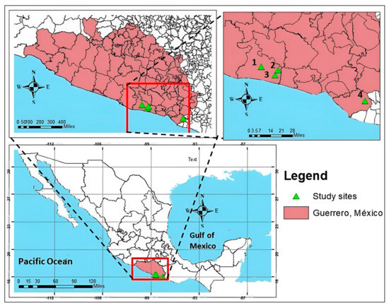 The Nutritional, Mineral, and Nutraceutical Quality Is Differentially ...