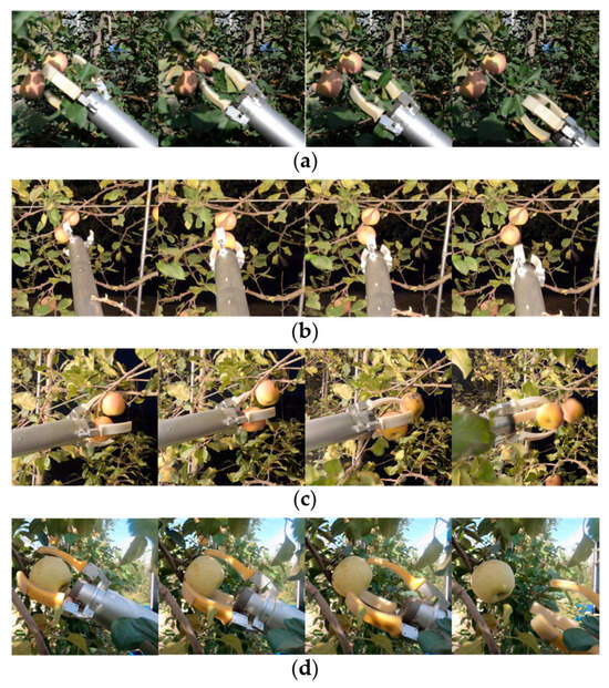 Design of and Experiment with a Dual-Arm Apple Harvesting Robot System