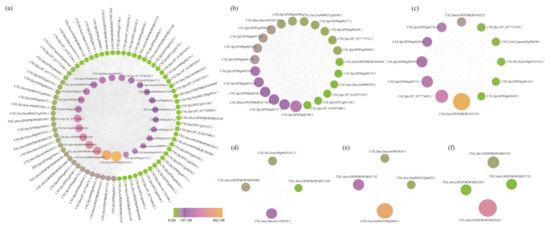 Genome-Wide Analysis of the NBS-LRR Gene Family and SSR Molecular ...
