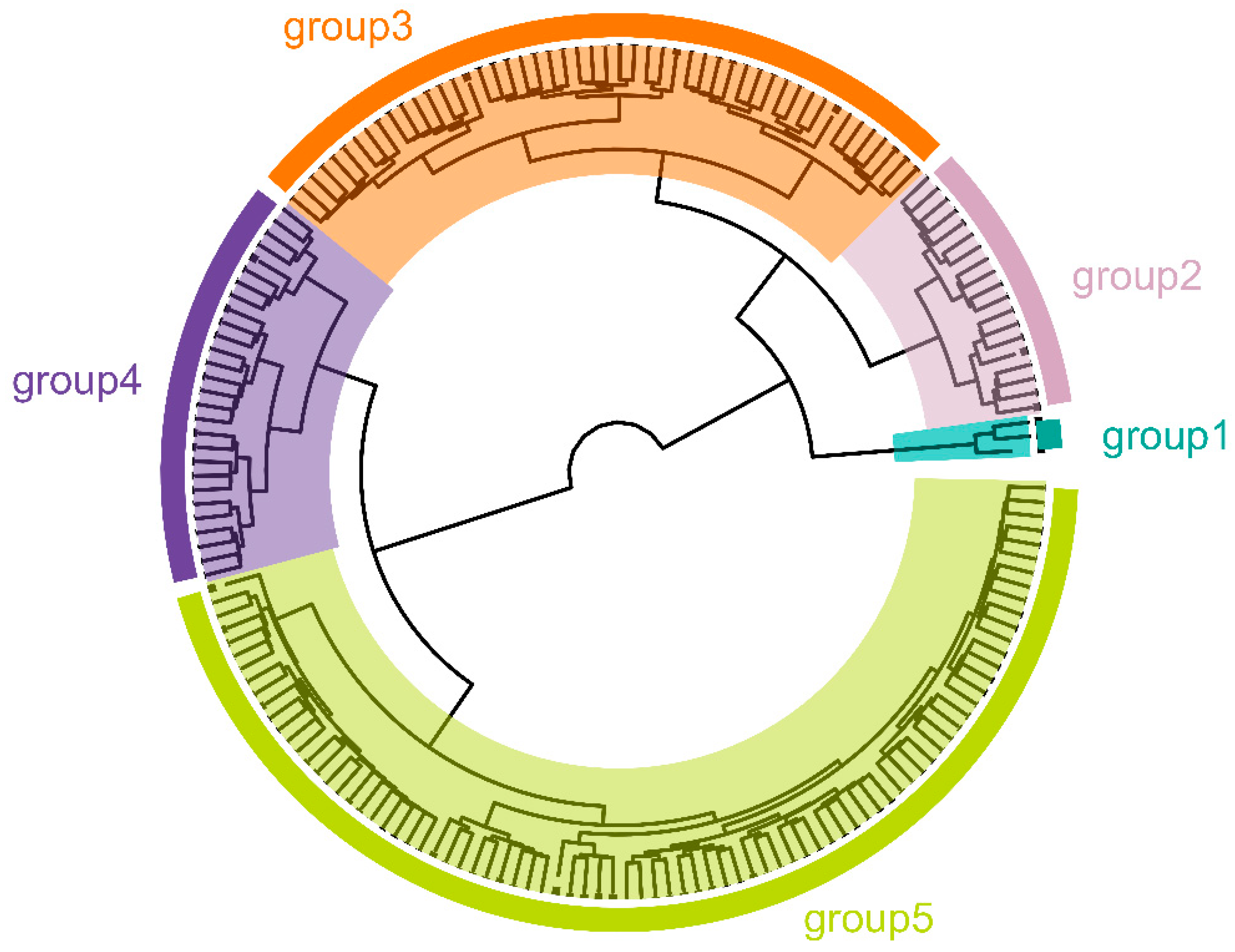 Genetic Diversity Analysis of Apple Germplasm Resources Based on ...