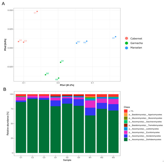 Cultivar-Dependent Variations in the Microbiome of Grapevine Leaves