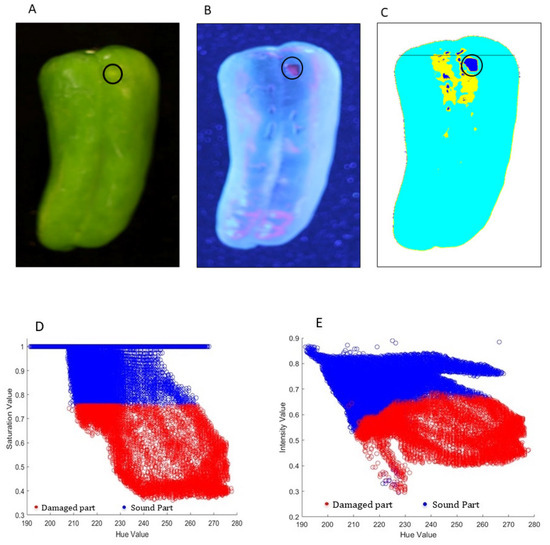 A Novel Damage Inspection Method Using Fluorescence Imaging Combined with Machine Learning ...