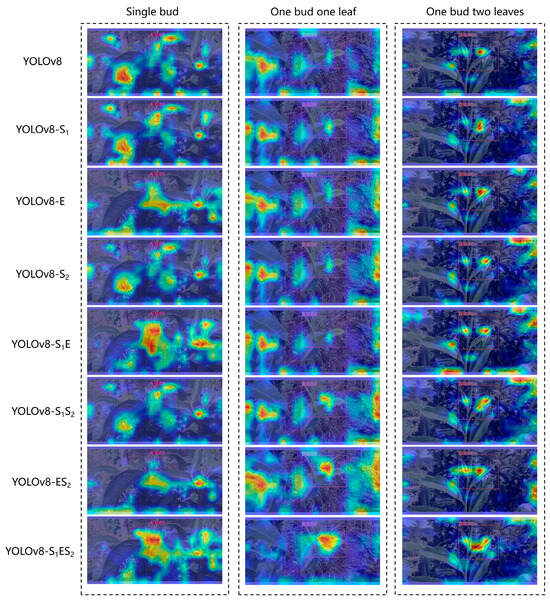 Fresh Tea Leaf-Grading Detection: An Improved YOLOv8 Neural Network Model Utilizing Deep Learning
