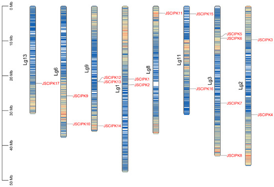 Genome-Wide Identification of the CIPK Gene Family in Jasmine and ...
