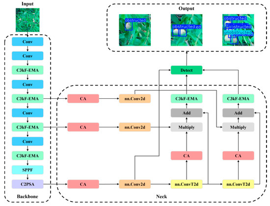 RSWD-YOLO: A Walnut Detection Method Based on UAV Remote Sensing Images