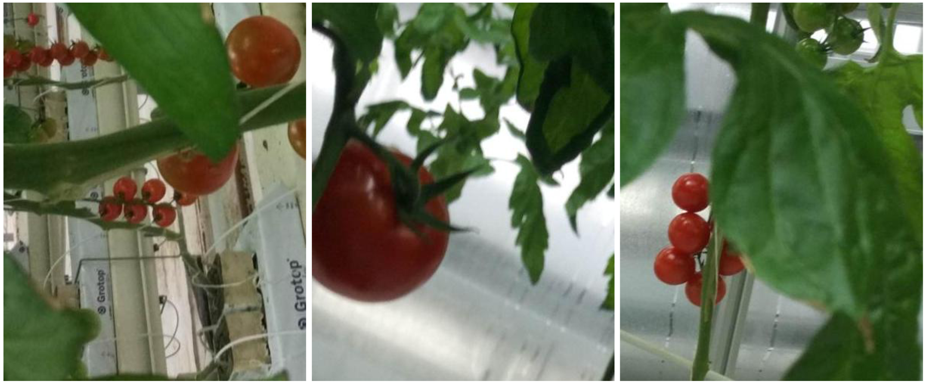 Evaluation of the Effectiveness of the UNet Model with Different ...