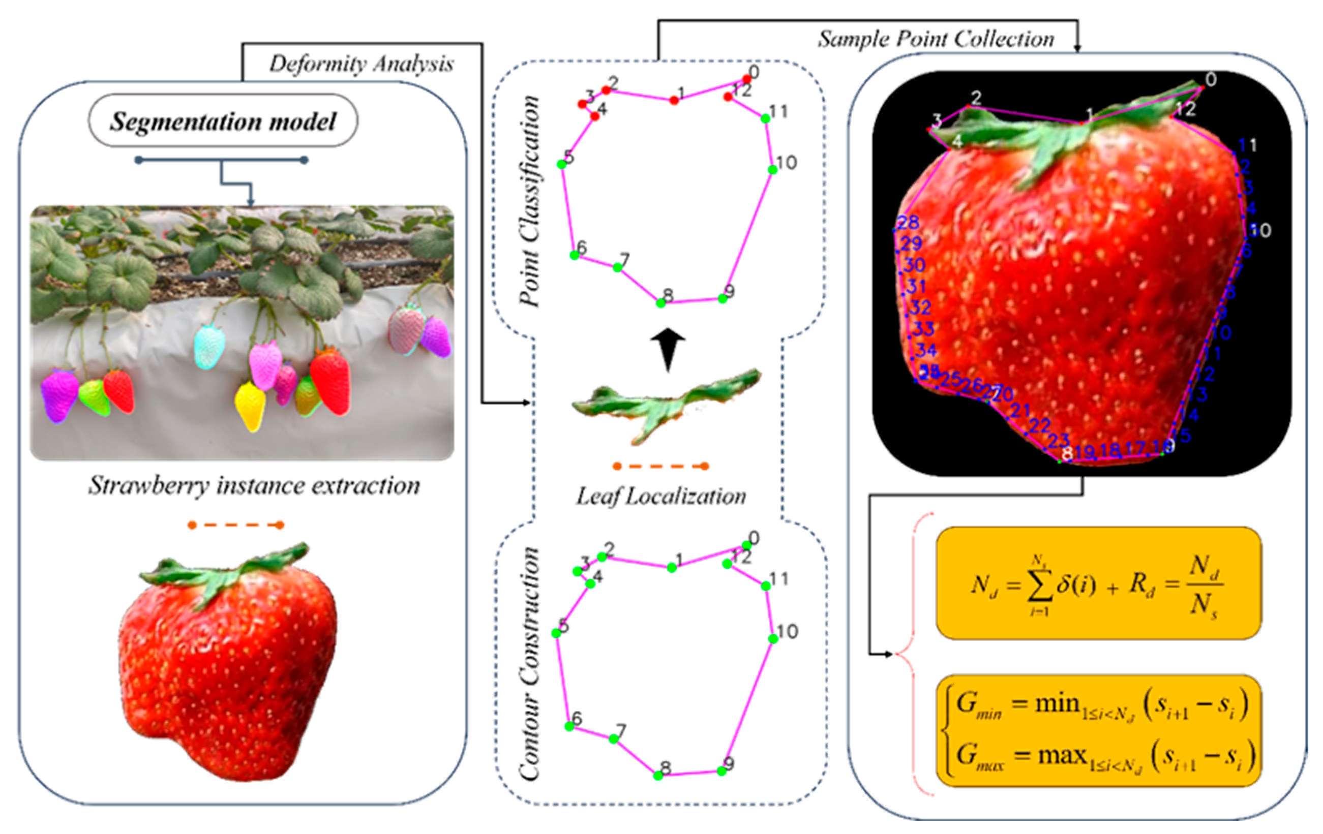 Strawberry Fruit Deformity Detection and Symmetry Quantification Using Deep Learning and ...