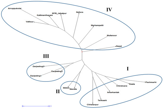Assessment of Genetic Diversity by Morphological, Biochemical, and ...