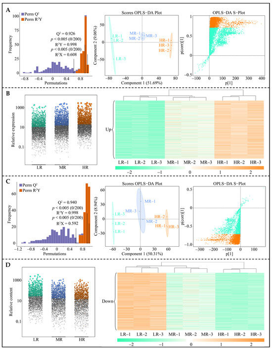 Joint Transcriptomic and Metabolomic Analysis of Molecular Physiological Mechanisms of Tea Tree ...